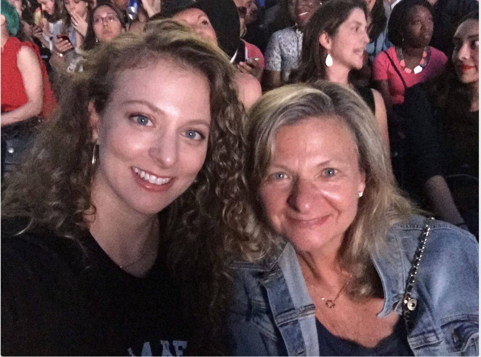 Chick Wit – Lisa Scottoline